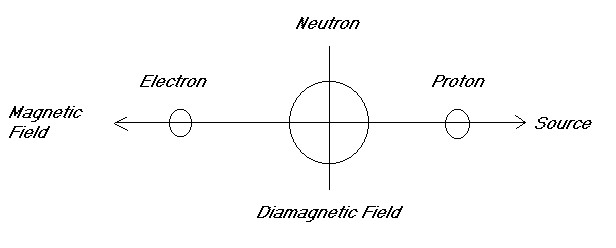 Tempic_Field